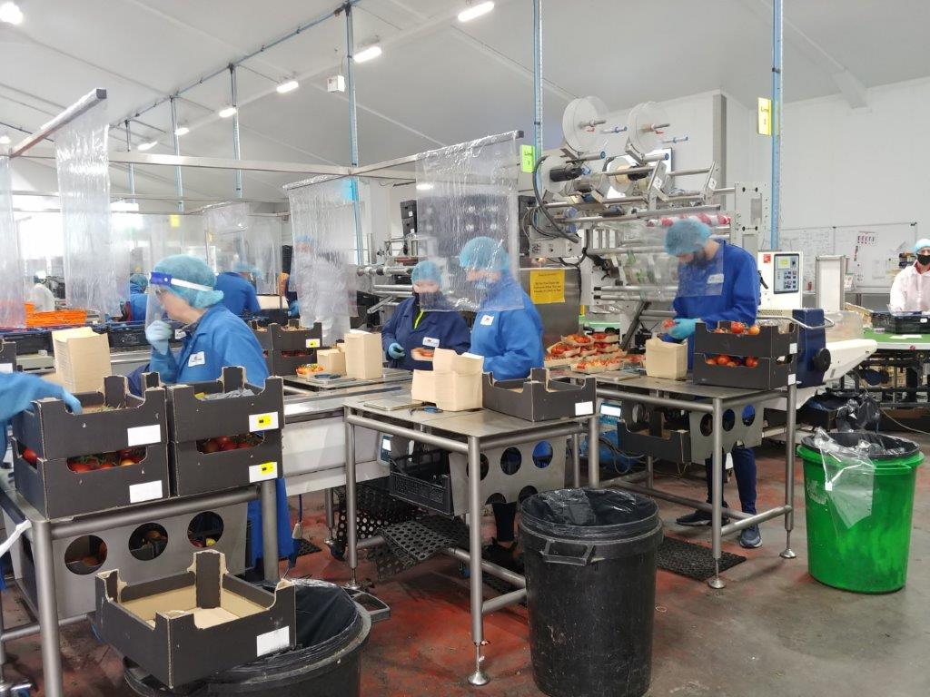 Flavourfresh Salads Increases Production Through Made Smarter